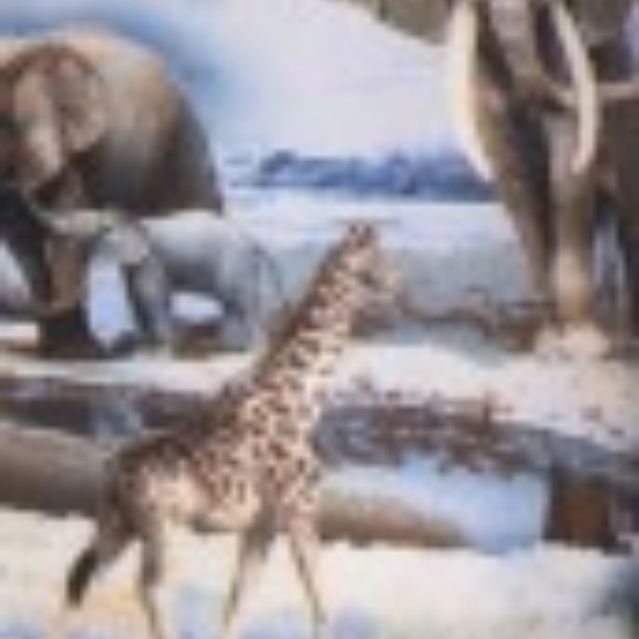 shosho | Pants & Jumpsuits | African Safari Animal Print Leggings ...